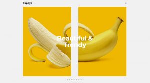 Capri – Creative Portfolio Theme – Qode Interactive