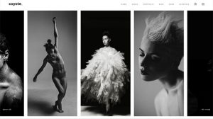 Coyote – Multipurpose WordPress Theme – Qode Interactive