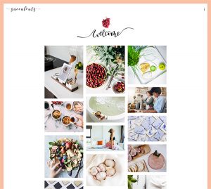 Succulents – Healthy Lifestyle and Wellness Theme – Qode Interactive